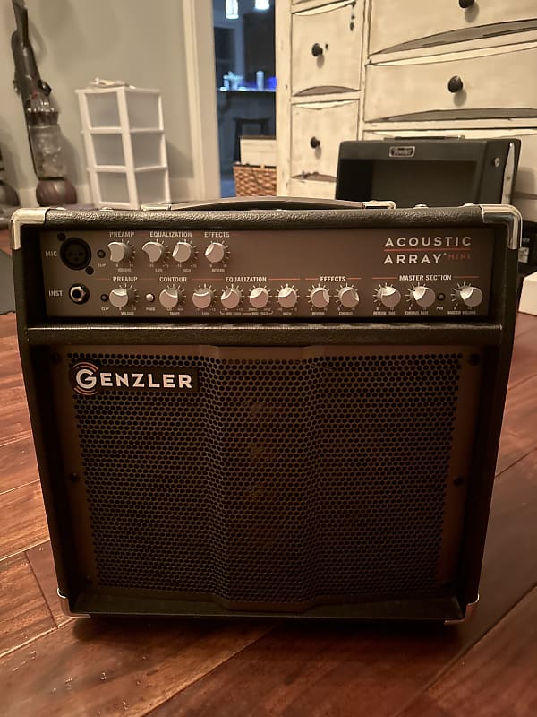 Genzler Amplification Acoustic Array mini | Reverb