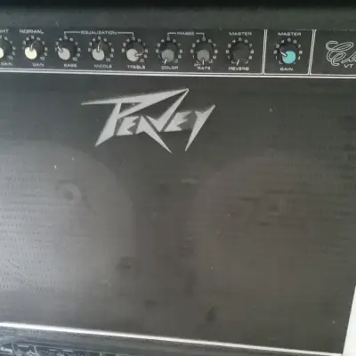 Earth Sound Research Pro Serviced 2x12 Hybrid Combo Amplifier | Reverb