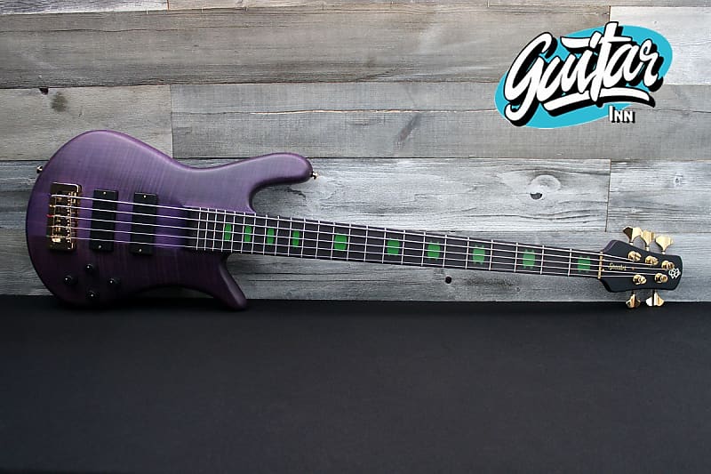 Spector Korean Artist "Skyler Acord" 2024 - Violet Stain | Reverb