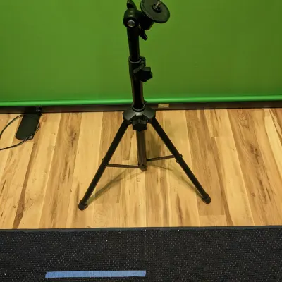 NS Design Wave 4 Electric Upright Bass 2022 White - Custom | Reverb