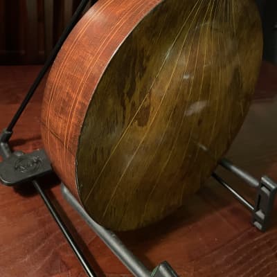 Douglas & Co. Museum Quality Zither 7-String Banjo Circa 1910 | Reverb