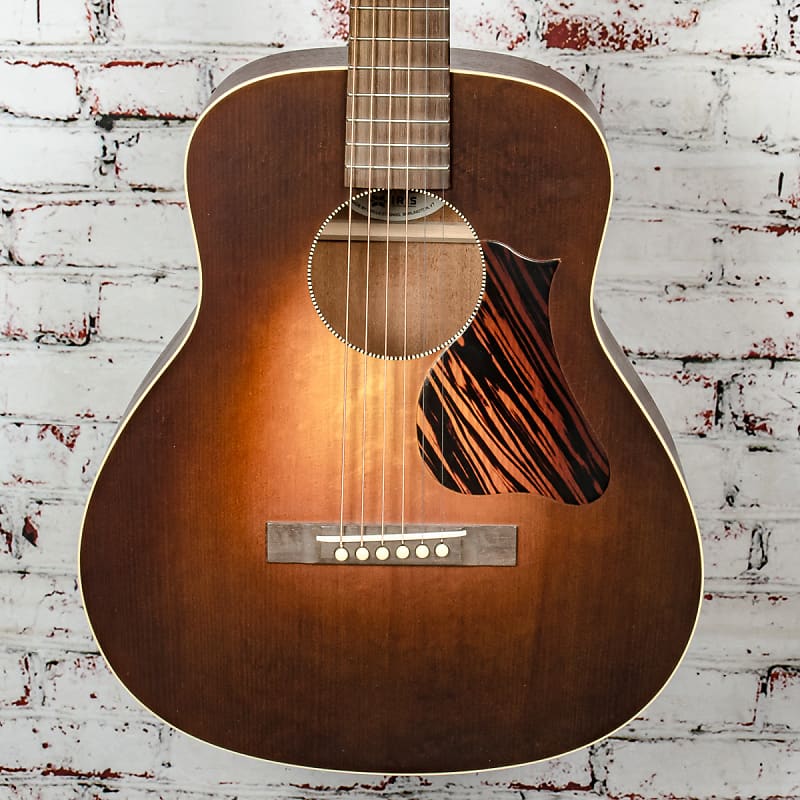 Iris DE-11 Dan Erlewine Signature Model Acoustic Guitar, | Reverb