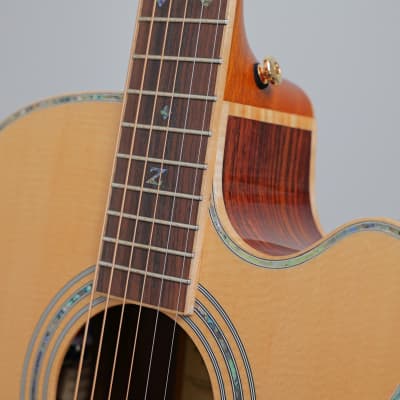 Zager ZAD900CE OM Style Acoustic Electric with Fishman Aura | Reverb