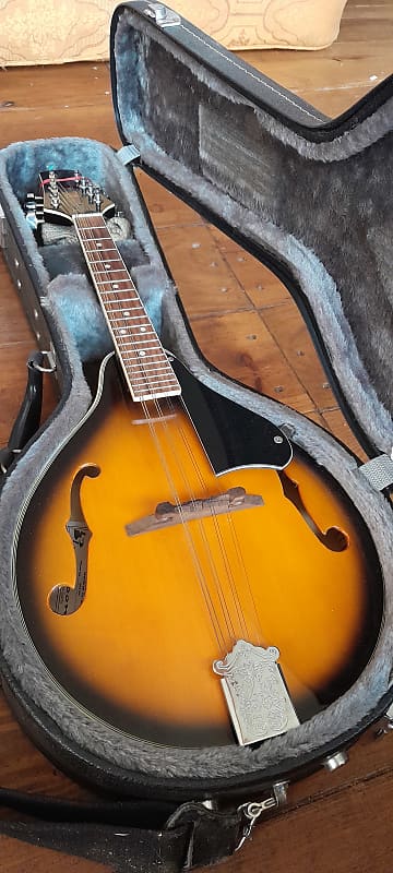 Blue Moon Mandolin VGC in hard-case | Reverb