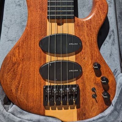 Manne Multi Bass 6 String 2023 - Red satin | Reverb