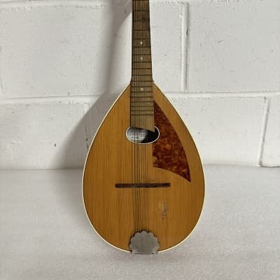 Amada Flat Mandolin Tenor Used In Good Condition | Reverb UK