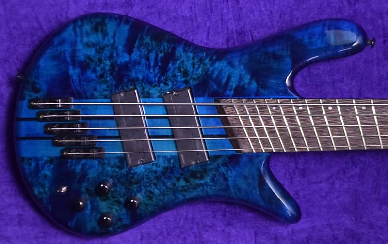 Spector NS Dimension 5, Black and Blue Gloss with Wenge | Reverb