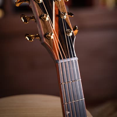 Cort ABSTRACTDELTA Masterpiece Series Deeper OM Body Master | Reverb