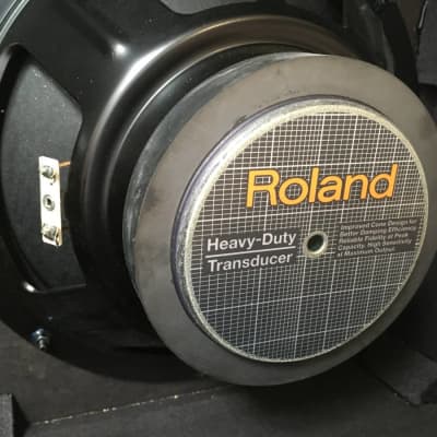 Roland 10" Speaker 2020s (1 of 3 available) | Reverb