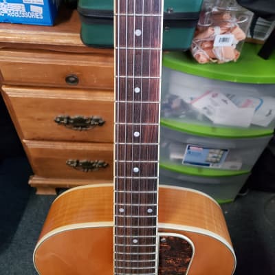 The Loar LH-500 NA - Natural | Reverb