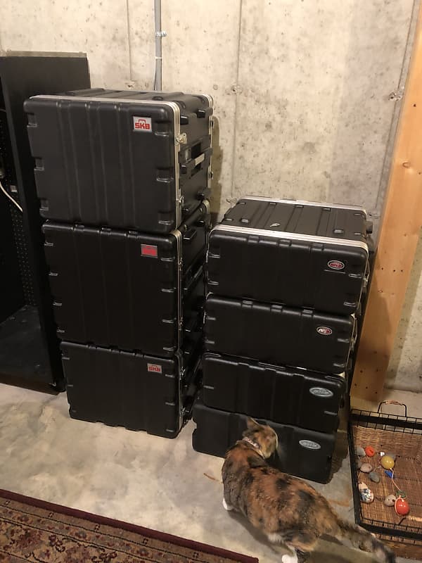 SKB 4U and 8U Standard 19" Rack Cases and Rack Panels, | Reverb