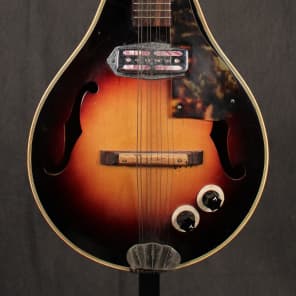 Vintage Lindell Mandolin(Electric) | Reverb