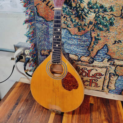 Vintage Mandolin Bridge V1 | Reverb