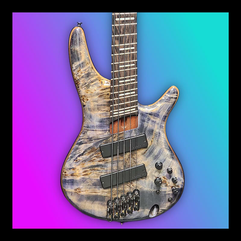 Ibanez Workshop SDGR 5 String Bass w/ Bartolini Pick Ups | Reverb