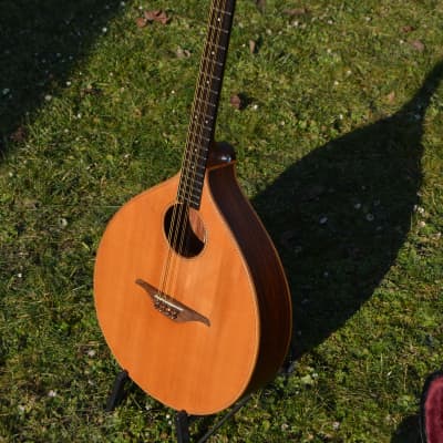 Stevens bouzouki / octave mandolin 1999 - case / pickup | Reverb