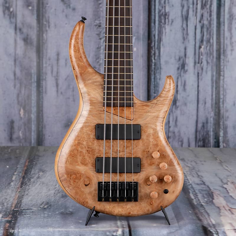 MTD 535-24 5-String Bass, Maple Burl 10-Top | Reverb