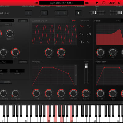 IK Multimedia Sampletank 4 SE Sample Based Workstation With | Reverb