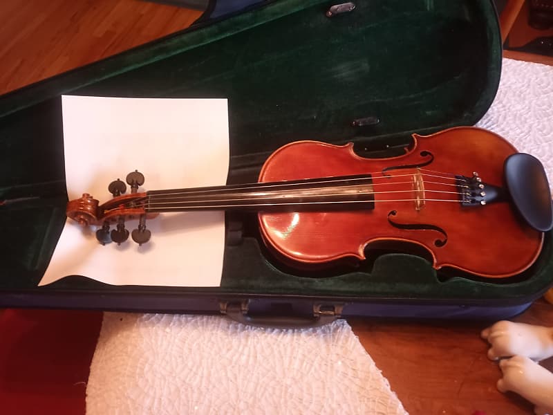 David Gage Realist 5-string Acoustic -Electric Violin 2011 | Reverb