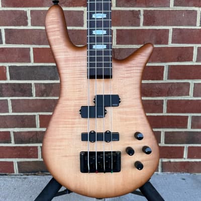 Spector Euro 4X "Spectorbird" Tobacco Sunburst One of | Reverb