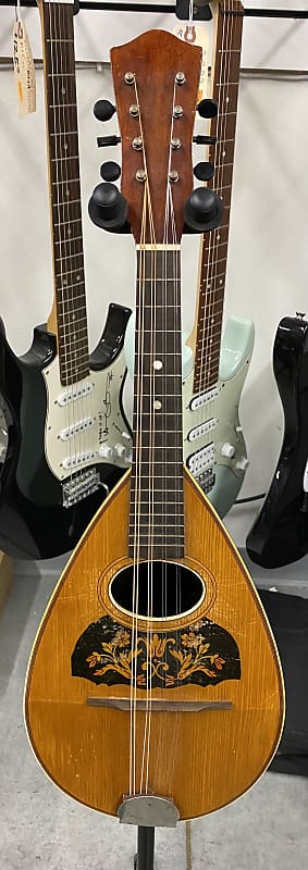 1930's Stella Bowl Back Mandolin | Reverb