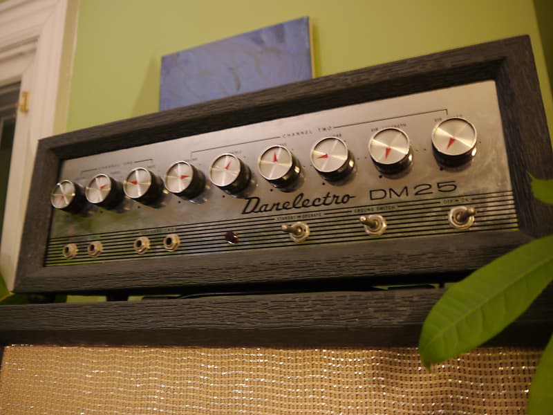 Vintage 1960s Danelectro DM25 all-original tube amp head & | Reverb