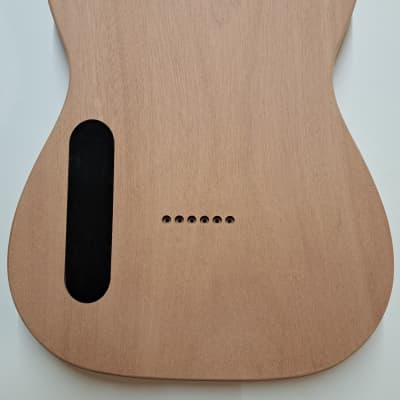 Shepard Custom Guitars Custom Telecaster Body Semi-hollow | Reverb