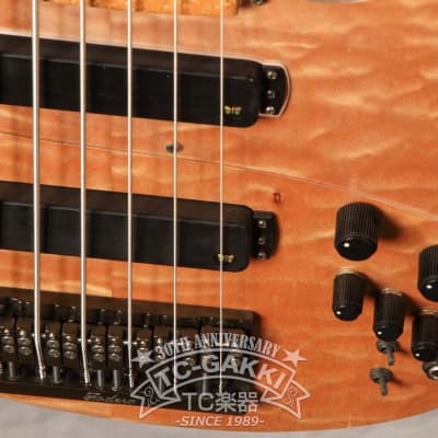 Fodera 1997 Anthony Jackson Contrabass Guitar [5.30kg] | Reverb