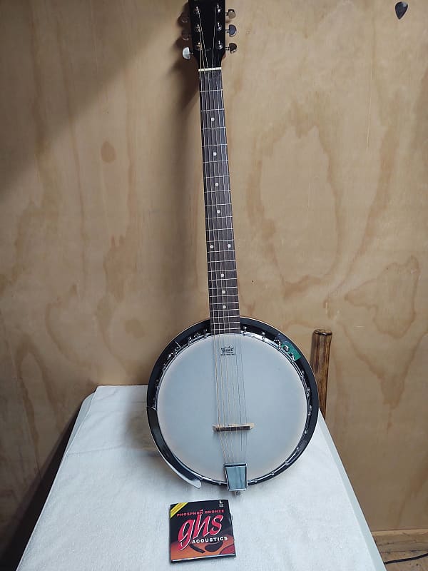 Davidson Banjo with Soft Shell Caase | Reverb