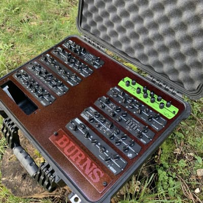 Burns Omega Model 12 Slot Case, Cosmic Midnight Red, for | Reverb