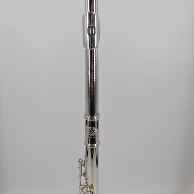Raymond Musical Instruments RMFL-200 Intermediate Flute | Reverb