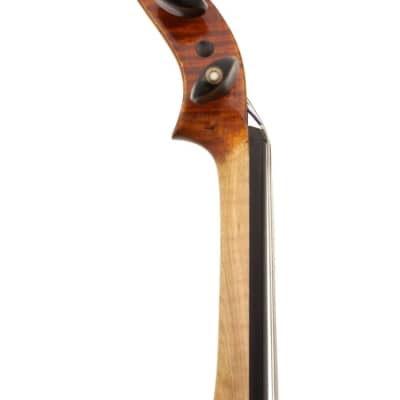 Maple Leaf Strings Artisan Collection Lady Claire Violin | Reverb