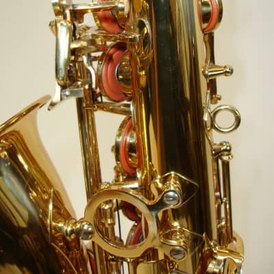 BAC Musical Instruments "Apprentice" Series Alto Saxophone w/ | Reverb