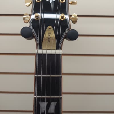 Schecter Coupe Semi-Hollow Single Cutaway Guitar Black | Reverb