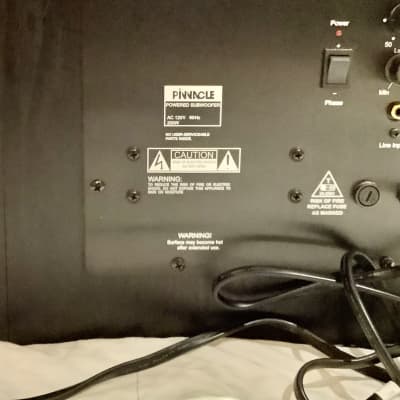 Pinnacle Digital Sub 100 Subwoofer | Reverb