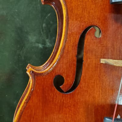 Colin G Nicholls Viola, London 1992 | Reverb