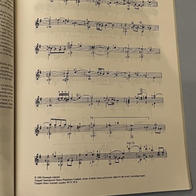 John Renbourn The Nine Maidens The Hermit Stefan and John | Reverb