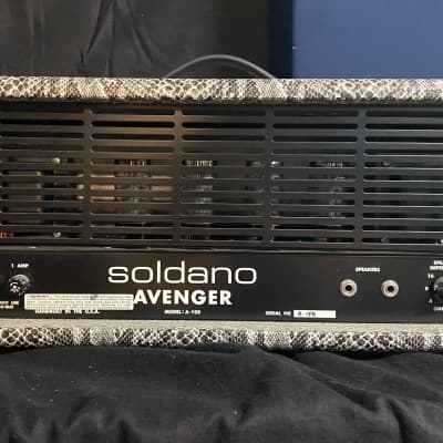 Soldano Avenger A-100 / Rammstein | Reverb