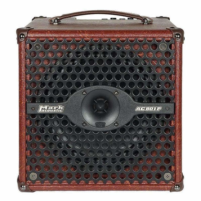 DV Mark AC 801 P 60-Watt 1x8" Acoustic Guitar Combo | Reverb Australia