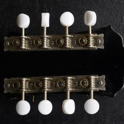 Greco Electric Mandolin, Super Rare | Reverb