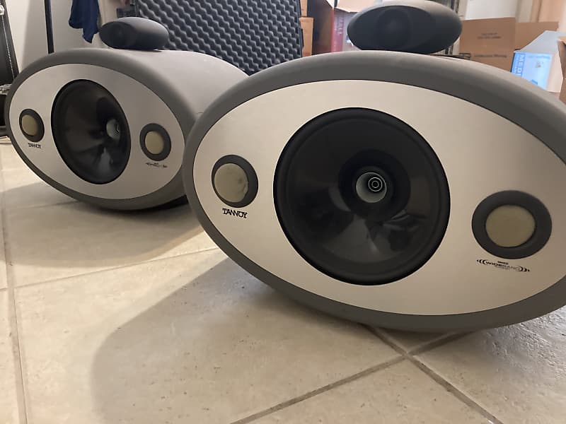 Tannoy Ellipse 10 pair | Reverb