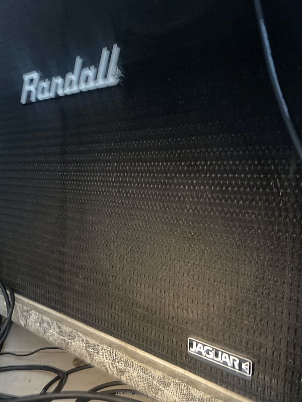 Randall rg100 cabinet speakers | Reverb