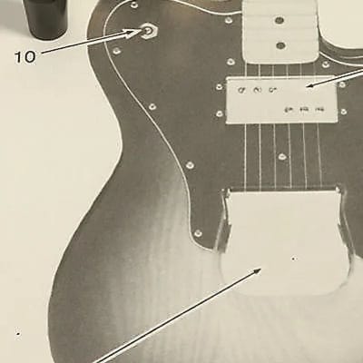 Fender Original Telecaster Top Hat Switch Tips (2) | Reverb