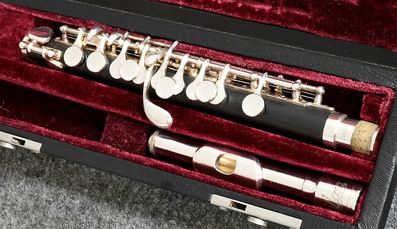 Allora Piccolo, Synthetic Body, Silver Plated keys & Head | Reverb