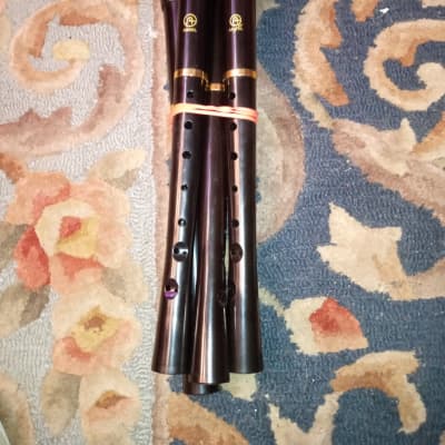 Angel Student Recorder 4 Piece Set - Black | Reverb