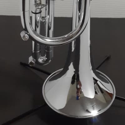 DEG Dynasty 3 valve G Bugle,2 Mouthpieces, hard case with Key | Reverb