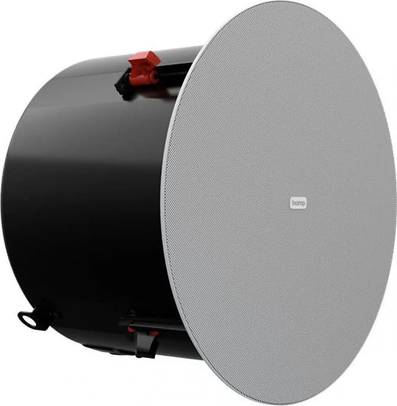 BIAMP Desono DX-IC10SUB-W | Reverb