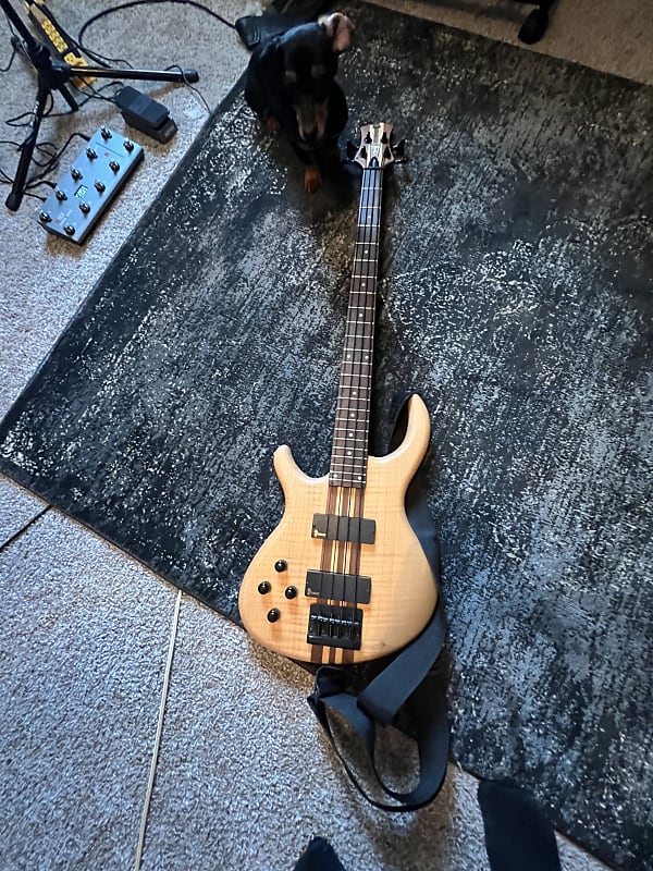 Tobias Toby Pro 4 2000s Natural | Reverb