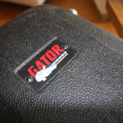 Teye S-Series 2008 Electric Gypsy. 100% Original. | Reverb