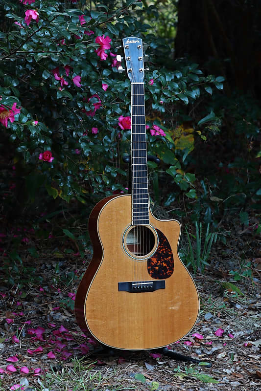 Larrivee LV-05, 2005 | Reverb