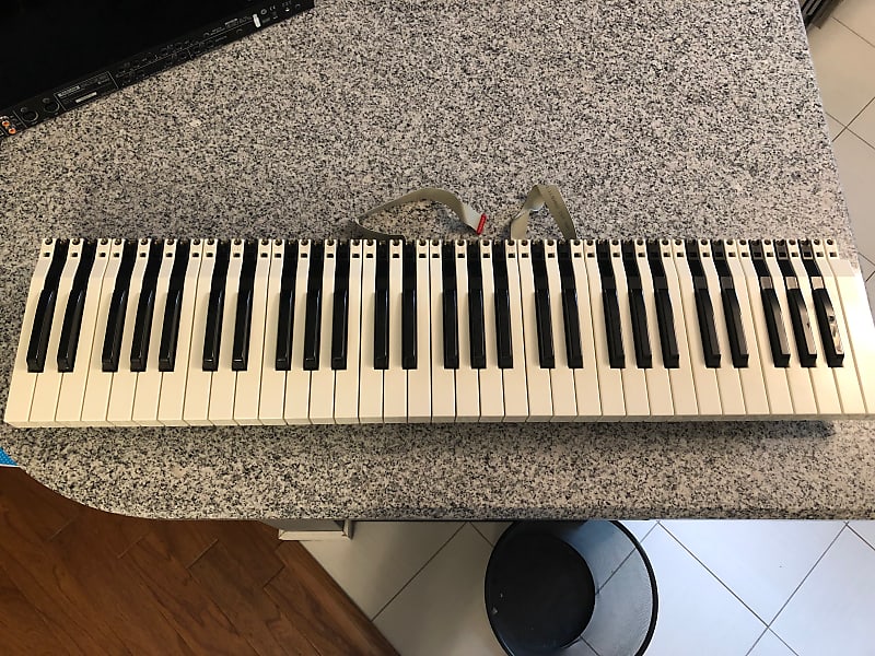 Fatar TP/8O waterfall action organ 61-note keybed | Reverb